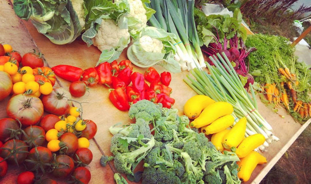 Organic Christmas Veg Box Large – Annie's Organic Farm